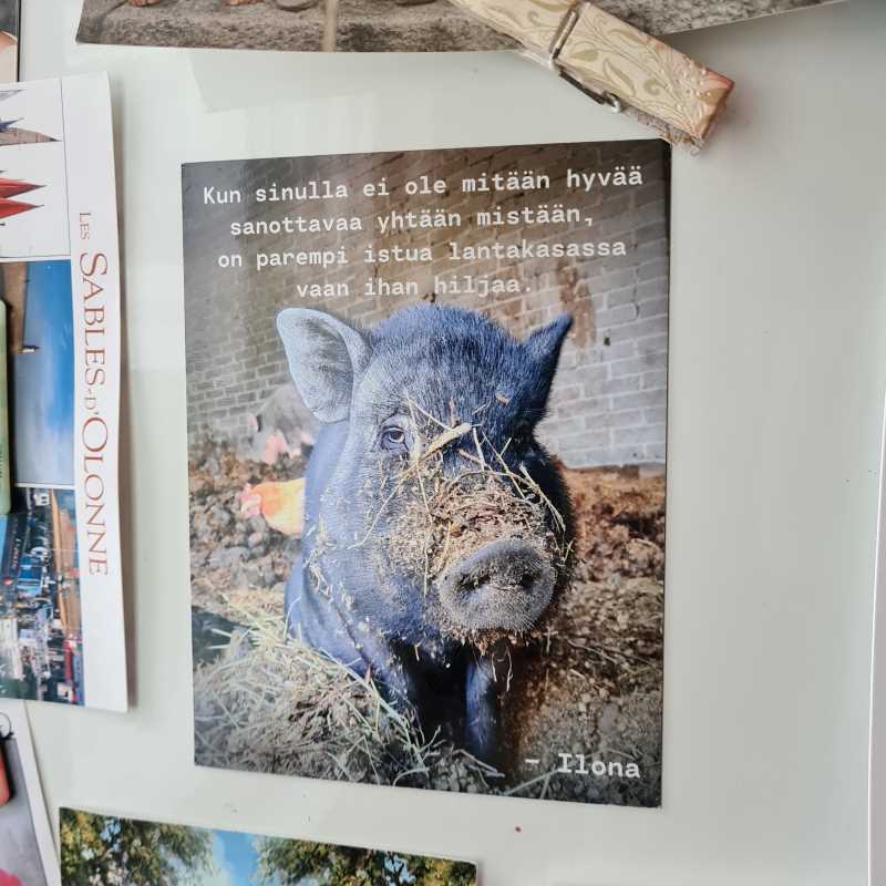 Mietelausemagneetti Myrtsi – Tiluksilla verkkokauppa